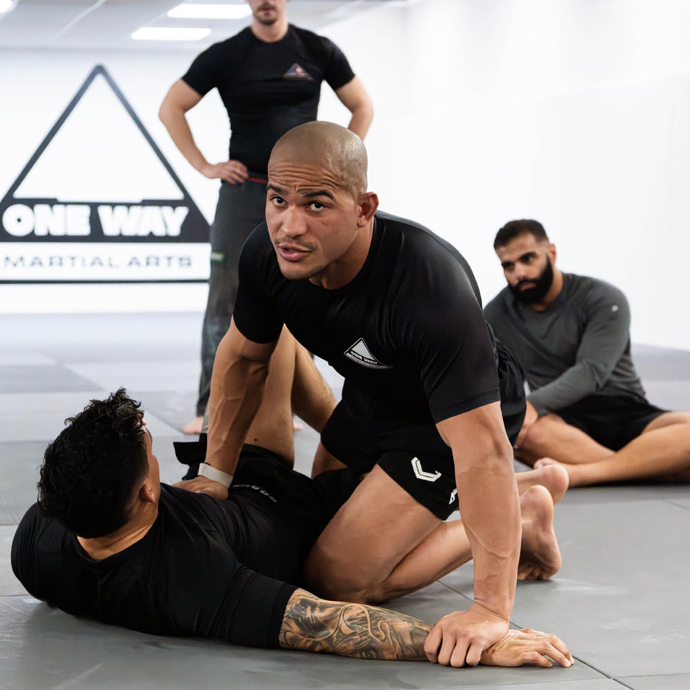 Martial Arts Programs Alexandria VA | BJJ, Muay Thai, Boxing – One Way ...