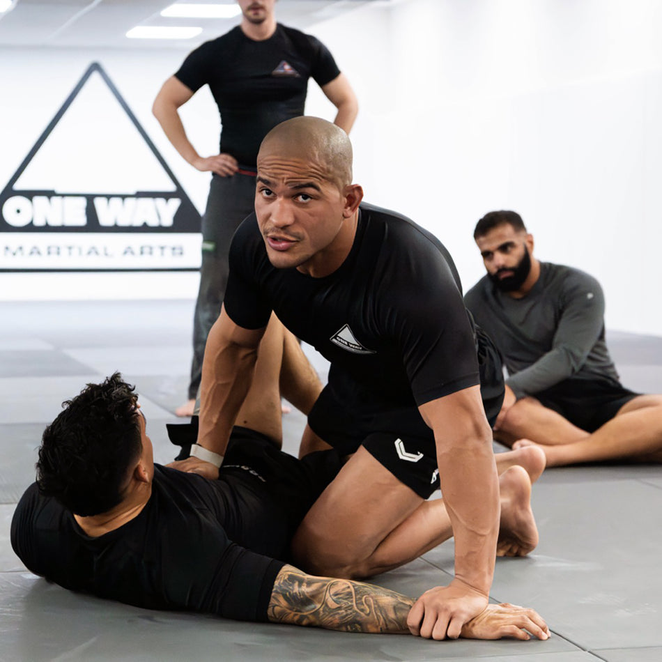 Martial Arts Programs Alexandria VA | BJJ, Muay Thai, Boxing – One Way ...