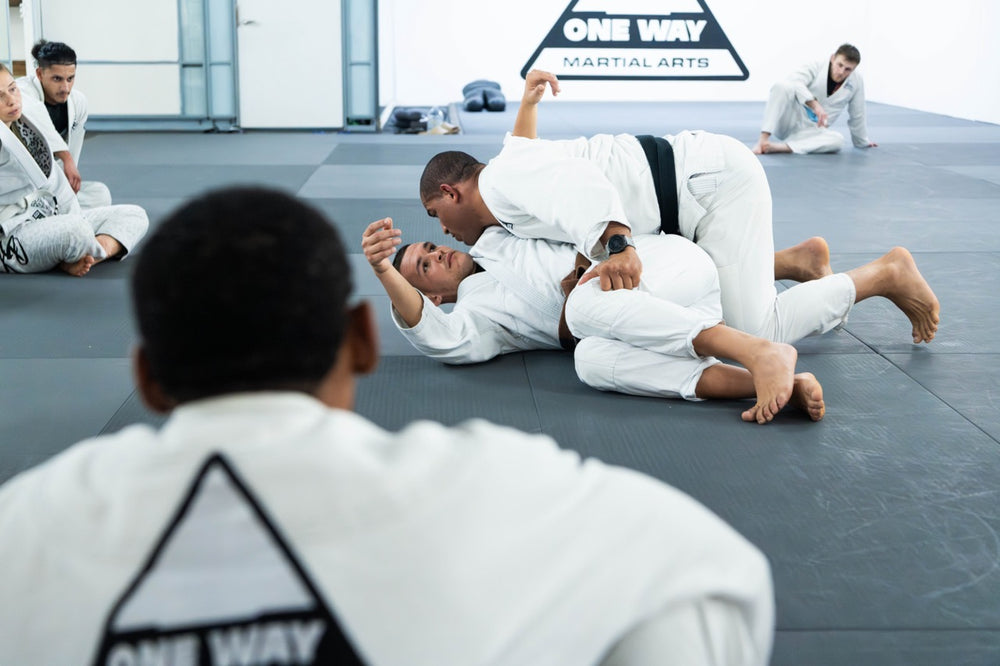 Jiu Jitsu Program at One Way Martial Arts Gym - Learn and Grow