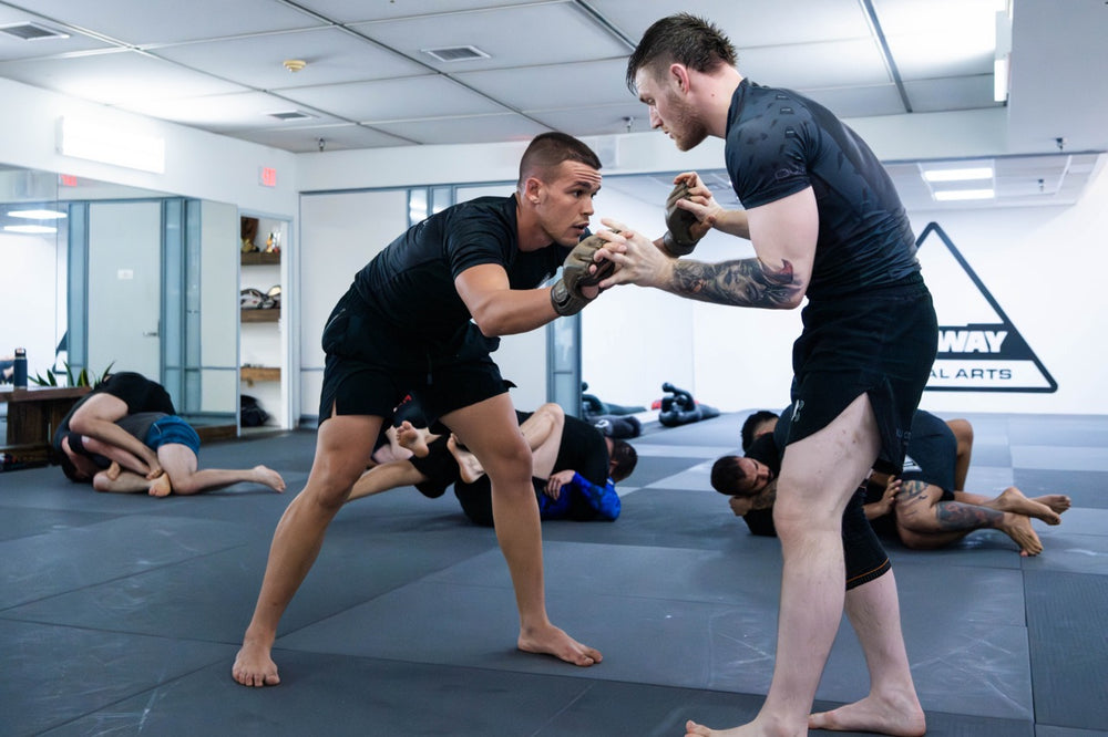 Wrestling Classes in Alexandria, VA – One Way Martial Arts